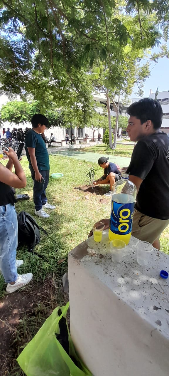 Blog universitario G4