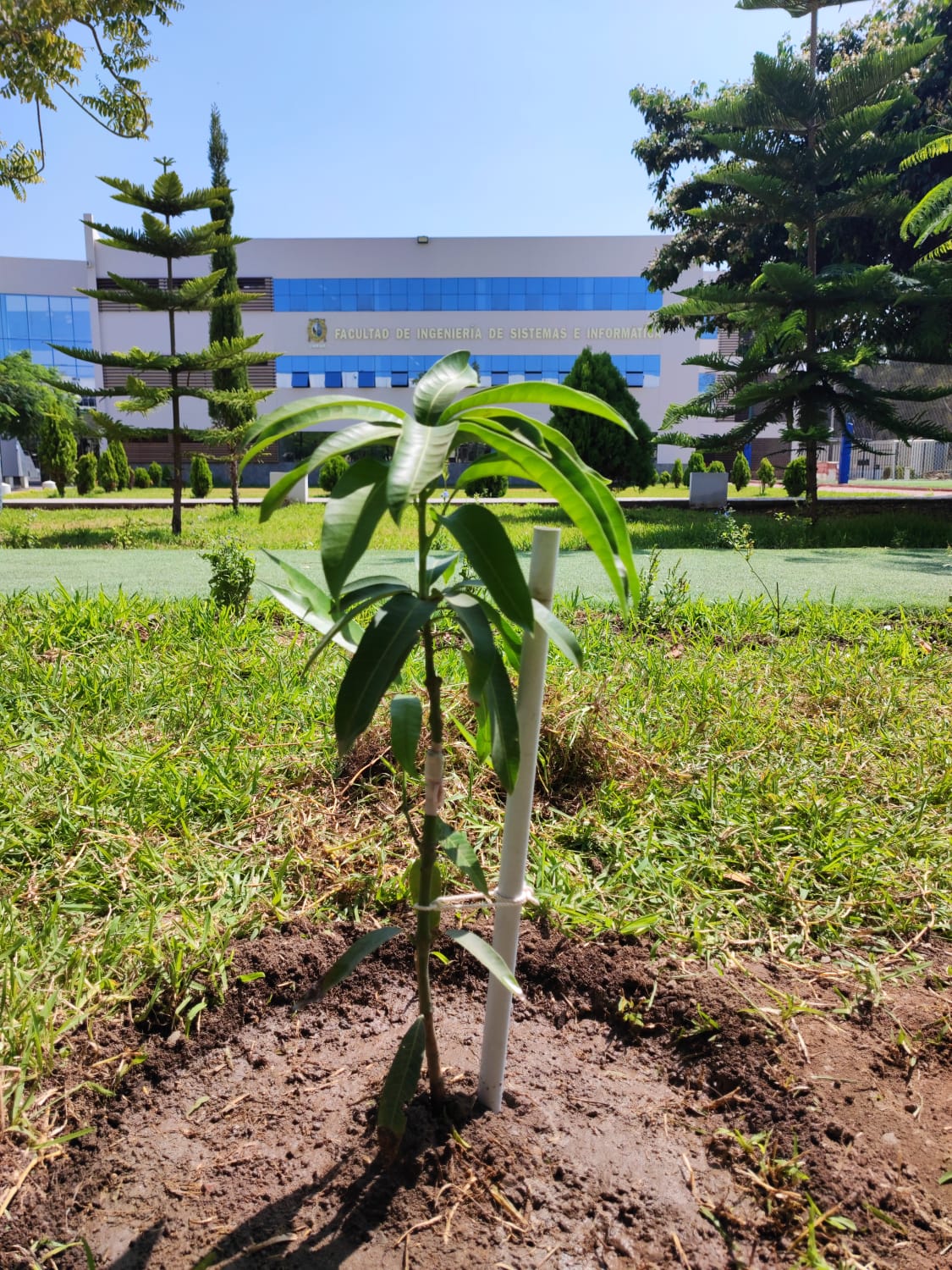 Blog universitario G4